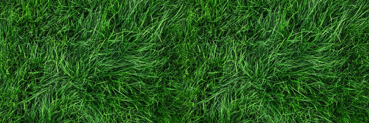 Green Grass? Here’s How to Keep It Thriving - Lawngevity